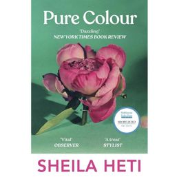 Vintage Pure Colour - Sheila Heti, Kartoniert (TB)