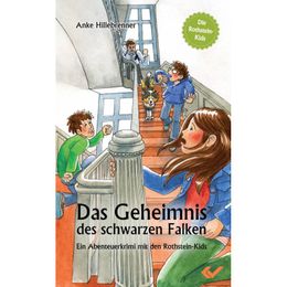 Die Rothstein-Kids - Das Geheimnis des schwarzen Falken - Anke Hillebrenner, Kartoniert (TB)