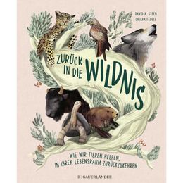 Zurück in die Wildnis - David A. Steen, Gebunden