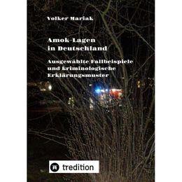 tredition Amok-Lagen in Deutschland: Ausgewählte Fallbeispiele und kriminologische Erklärungsmuster - Volker Mariak, Kartoniert (TB)
