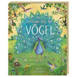 Dorling Kindersley Die schillernde Welt der Vögel - David Lindo, Gebunden