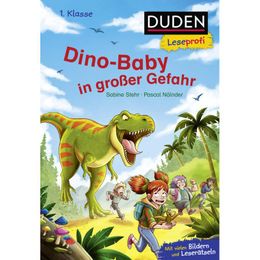Duden Leseprofi - Dino-Baby in großer Gefahr, 1. Klasse - Sabine Stehr, Gebunden