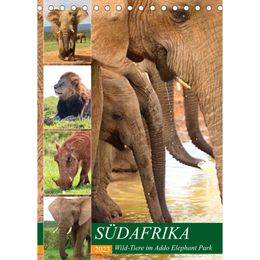 Calvendo SÜDAFRIKA Wild-Tiere im Addo Elephant Park (Tischkalender 2023 DIN A5 hoch)