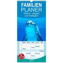 Familienplaner 2024 - Delfine - elegant und intelligent mit 5 Spalten (Wandkalender, 21 x 45 cm) Calvendo