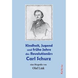 Kindheit, Jugend und frühe Jahre des Revolutionärs Carl Schurz - Olaf Link, Gebunden