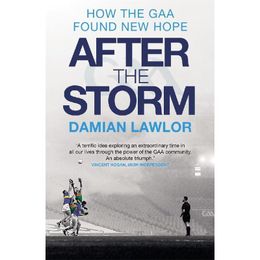 After the Storm - Damian Lawlor, Kartoniert (TB)