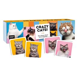 Memo-Spiel: Crazy cats!