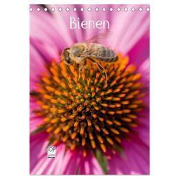 Bienenkalender (Tischkalender 2024 DIN A5 hoch), Calvendo Monatskalender