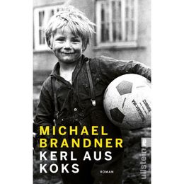 Kerl aus Koks - Michael Brandner, Taschenbuch