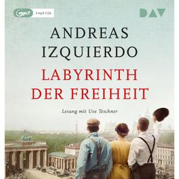 Wege der Zeit - 3 - Labyrinth der Freiheit - Andreas Izquierdo (Hörbuch)