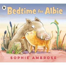 Bedtime for Albie - Sophie Ambrose, Kartoniert (TB)