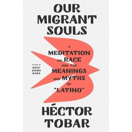 Our Migrant Souls - Héctor Tobar, Gebunden