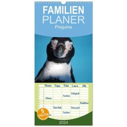 Familienplaner 2024 - Pinguine 2024 mit 5 Spalten (Wandkalender, 21 x 45 cm) Calvendo