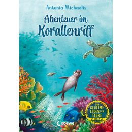 Loewe Abenteuer im Korallenriff / Das geheime Leben der Tiere - Ozean Bd.3 - Antonia Michaelis, Gebunden