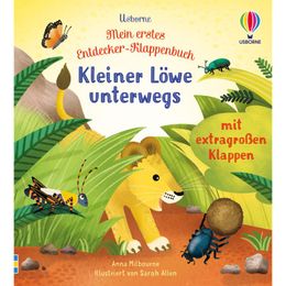 Kleiner Löwe unterwegs / mein erstes Entdecker-Klappbuch Bd.5 - Anna Milbourne, Gebunden