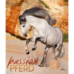 Passion Pferd 2024
