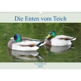 Calvendo Die Enten vom Teich (Wandkalender 2023 DIN A3 quer)