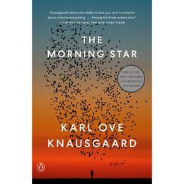 Penguin Random House The Morning Star - Karl Ove Knausgard, Kartoniert (TB)