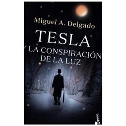 Tesla y la conspiracion de la luz - Miguel Angel Delgado, Kartoniert (TB)