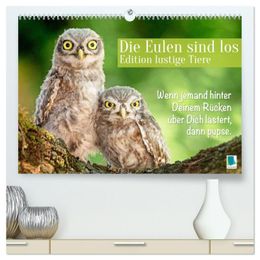 Calvendo Die Eulen sind los: Edition lustige Tiere (hochwertiger Premium Wandkalender 2024 DIN A2 quer), Kunstdruck in Hochglanz