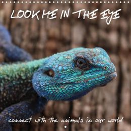 Calvendo LOOK ME IN THE EYE connect with the animals in our world (Wall Calendar 2023 300 × 300 mm Square)