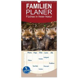 Familienplaner 2024 - Füchse in freier Natur mit 5 Spalten (Wandkalender, 21 x 45 cm) Calvendo