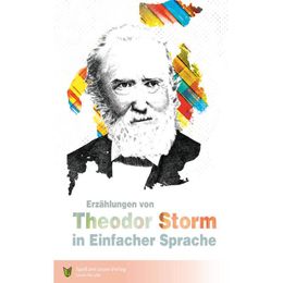 Erzählungen von Theodor Storm - Theodor Storm, Kartoniert (TB)