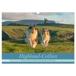 Highland-Collies - Auf vier Pfoten durch Schottland und Irland (Wandkalender 2024 DIN A3 quer), Calvendo Monatskalender