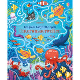 Usborne Labyrinthe-Bücher / Der große Labyrinthe-Spaß: Unterwasserwelten - Sam Smith, Kartoniert (TB)