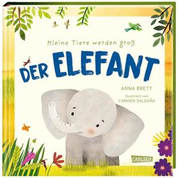 Kleine Tiere werden groß - Der Elefant - Anna Brett, Gebunden