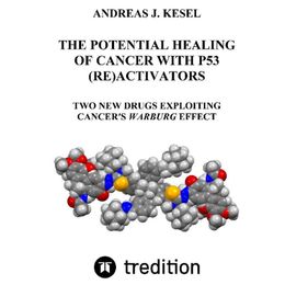 tredition THE POTENTIAL HEALING OF CANCER WITH P53 (RE)ACTIVATORS - Andreas Johannes Kesel, Kartoniert (TB)