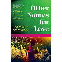 Vintage Other Names for Love - Taymour Soomro, Kartoniert (TB)