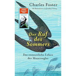 Malik Der Ruf des Sommers - Charles Foster, Gebunden