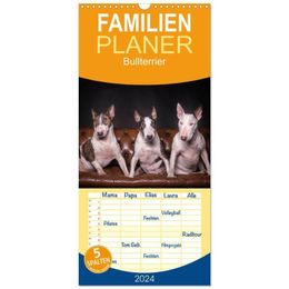 Familienplaner 2024 - Bullterrier mit 5 Spalten (Wandkalender, 21 x 45 cm) Calvendo