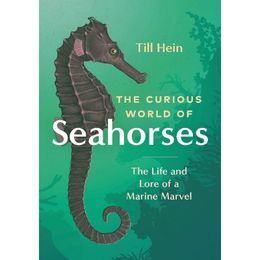 The Curious World of Seahorses - Till Hein, Gebunden