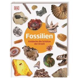 Dorling Kindersley Fossilien - Dean Lomax, Gebunden