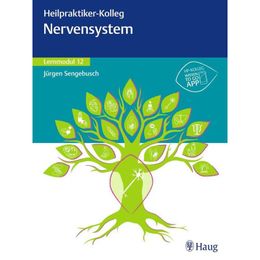 Heilpraktiker-Kolleg - Nervensystem - Lernmodul 12 - Jürgen Sengebusch, Kartoniert (TB)