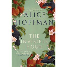 The Invisible Hour - Alice Hoffman, Gebunden