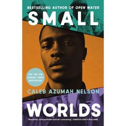 Small Worlds - Caleb Azumah Nelson, Gebunden