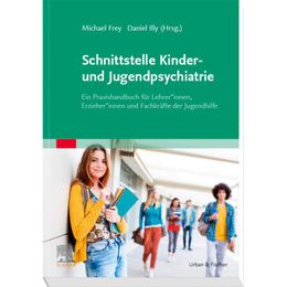 Schnittstelle Kinder- und Jugendpsychiatrie - Michael Frey, Daniel Illy, Kartoniert (TB)