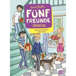 cbj Das Geburtstags-Abenteuer / Fünf Freunde Junior Bd.10 - Enid Blyton, Gebunden