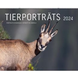 Tierporträts 2024