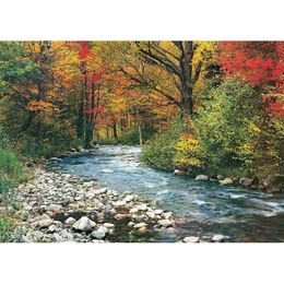 Eurographics Forest Stream (Puzzle)