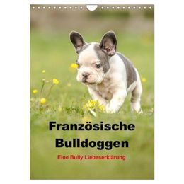 Französische Bulldoggen - Eine Bully Liebeserkärung (Wandkalender 2024 DIN A4 hoch), Calvendo Monatskalender