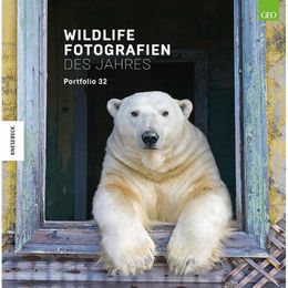 Wildlife Fotografien des Jahres - Portfolio 32, Gebunden