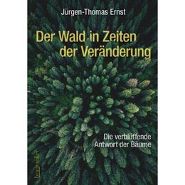 Der Wald in Zeiten der Veränderung - Jürgen-Thomas Ernst, Kartoniert (TB)