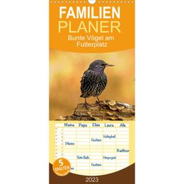 Calvendo Familienplaner Bunte Vögel am Futterplatz (Wandkalender 2023 , 21 cm x 45 cm, hoch)