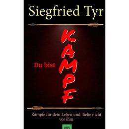 Du bist Kampf - Siegfried Tyr, Kartoniert (TB)