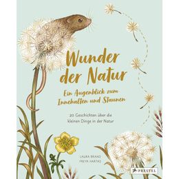 Wunder der Natur. Ein Augenblick zum Innehalten und Staunen - Laura Brand, Freya Hartas, Gebunden