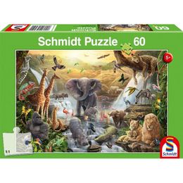Schmidt Spiele Tiere in Afrika